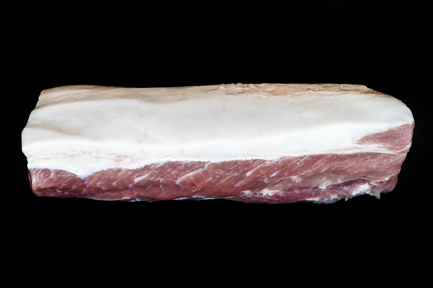 Linha de Produtos – Fabene Alimentos